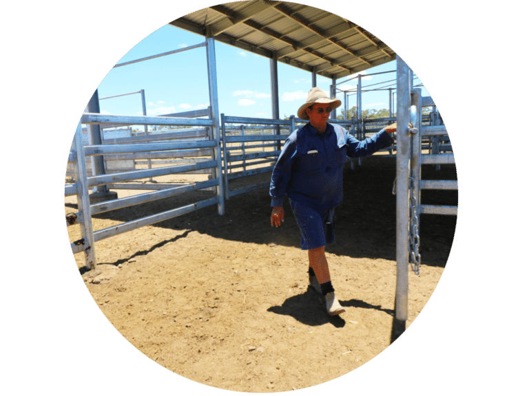 ProWay Livestock Equipment | Home