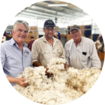 ProWay Livestock Equipment | Home