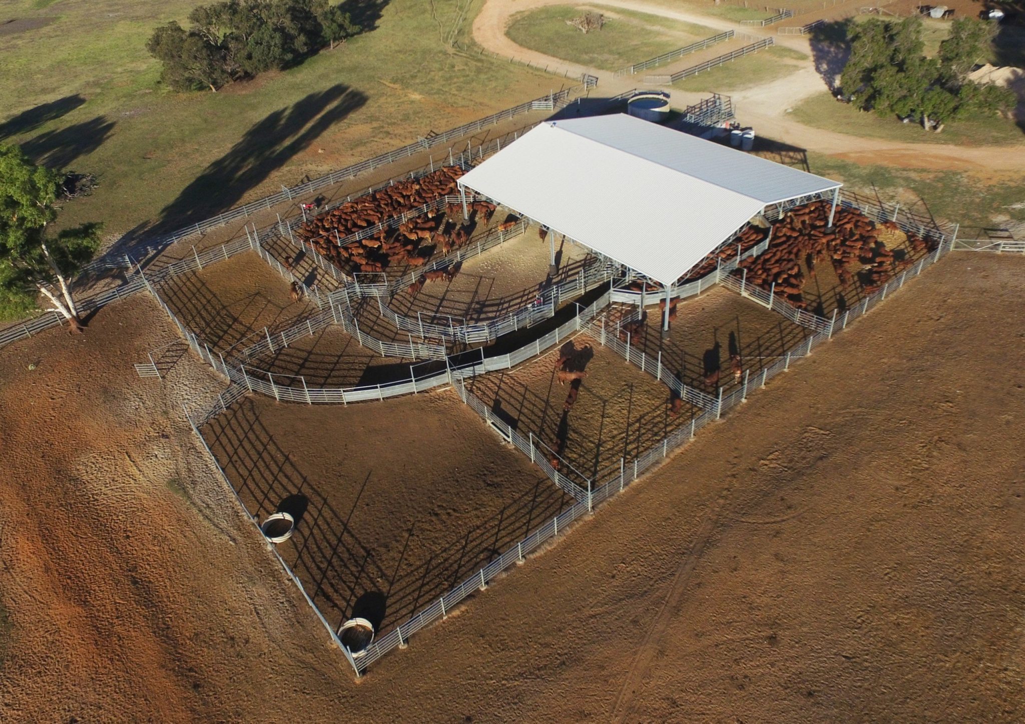 Cattle Working Systems Designs | Custom Cattle Corral Ideas