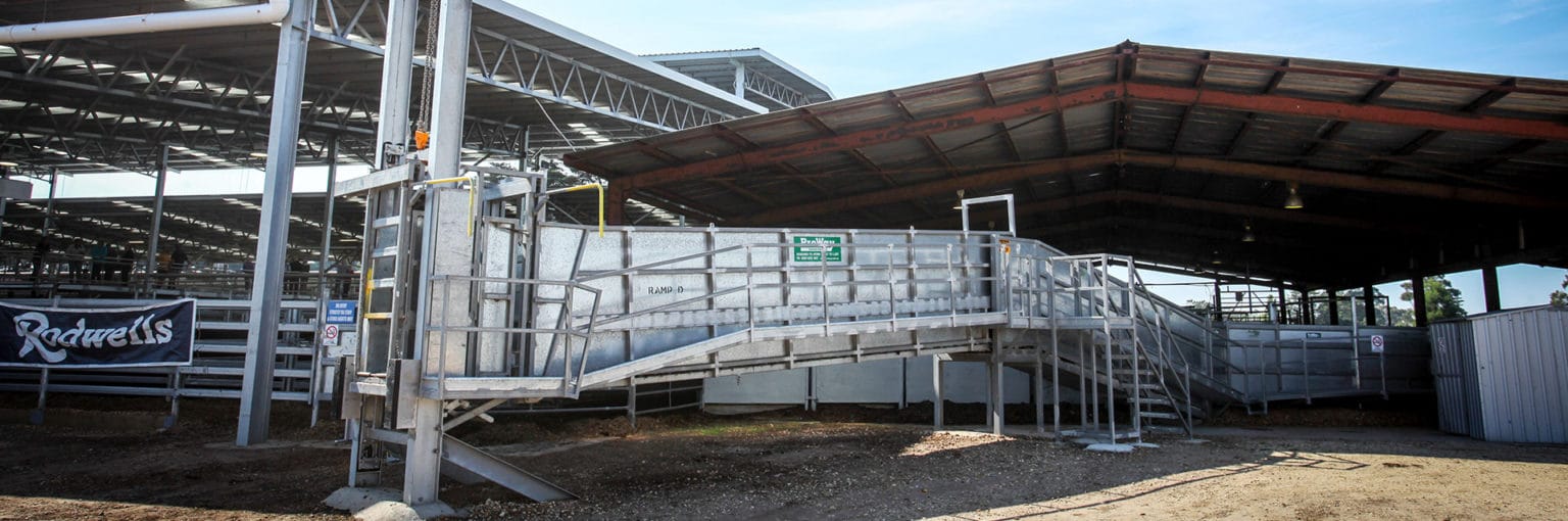 Cattle Loading Chutes | Loading Chutes for Cattle