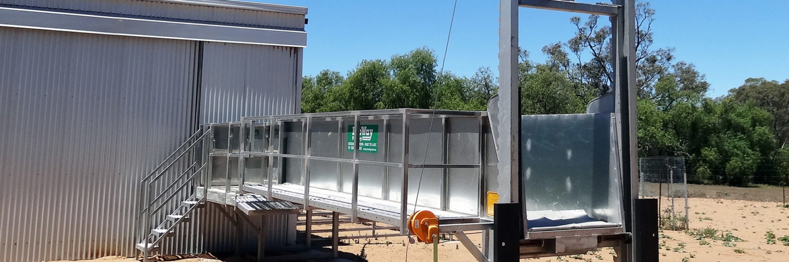 Sheep Loading Chutes Improve Flow & Loading Efficiency