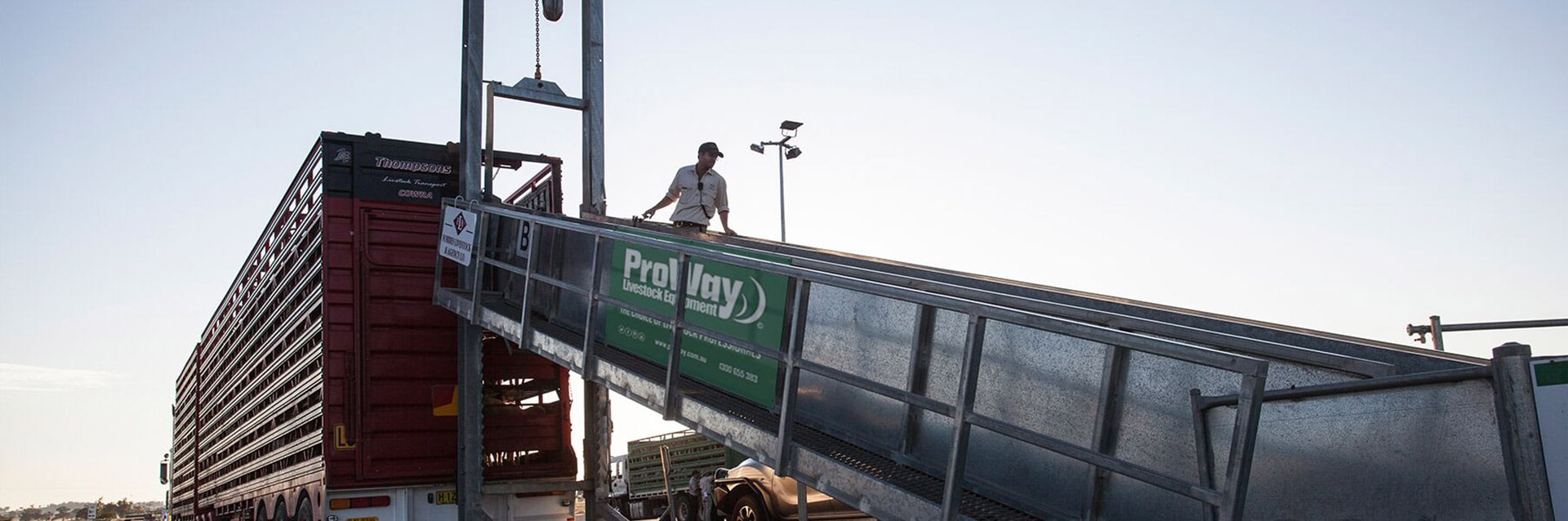 Sheep Loading Chutes Improve Flow & Loading Efficiency