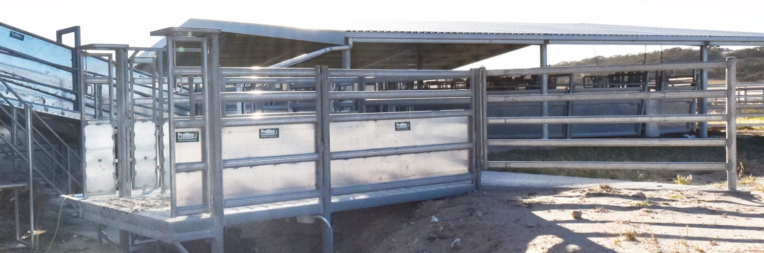 Cattle Loading Chutes | Loading Chutes for Cattle