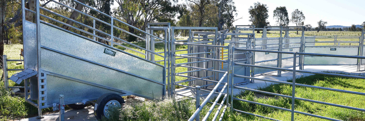 Cattle Loading Chutes | Loading Chutes for Cattle
