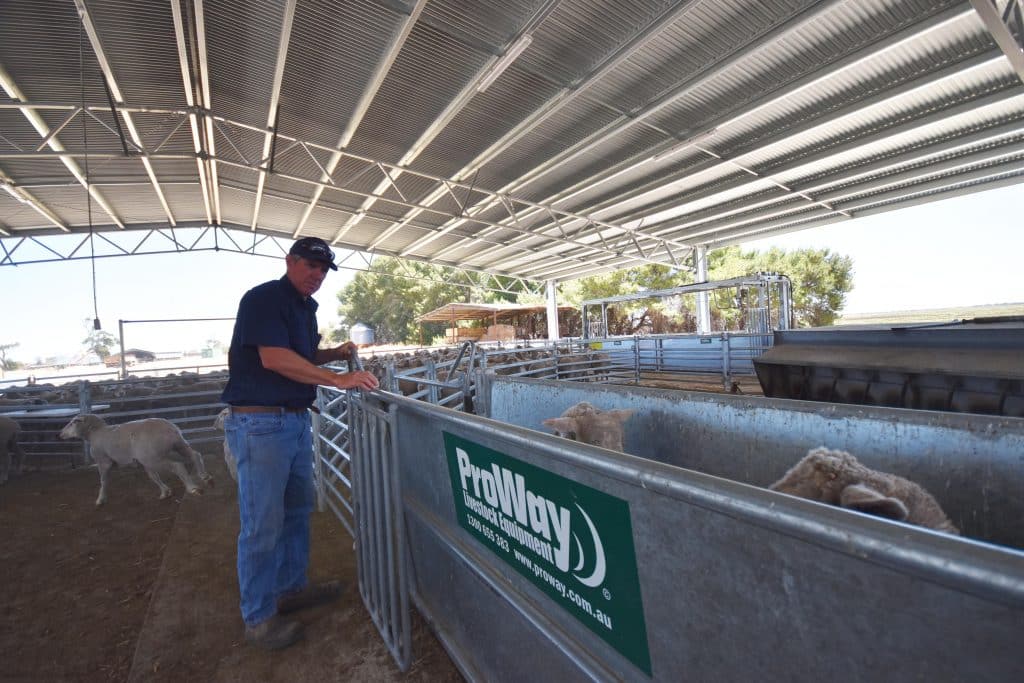 Adjustable V Sheep Sorting Alley from ProWay | Single File Alley