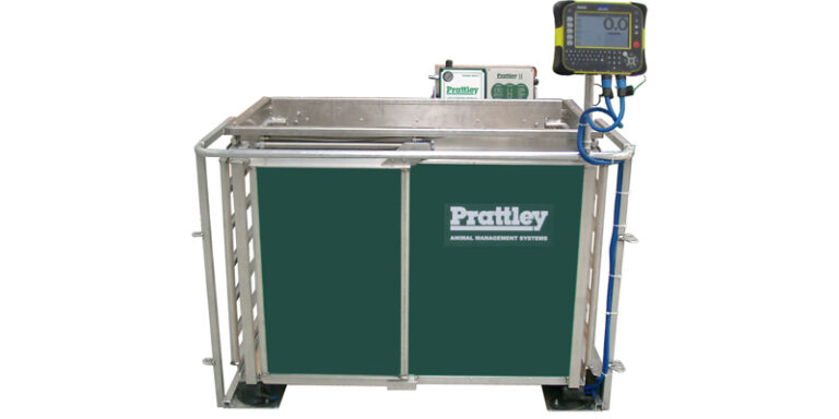 Sheep Handling Products Archives - ProWay Livestock Equipment USA